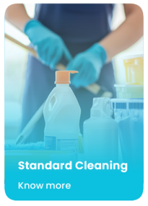 North Cleaning